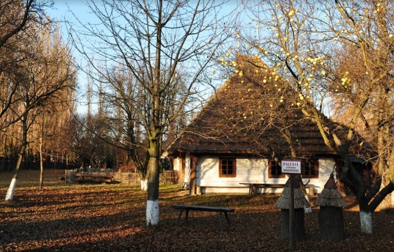 Muzeum Wsi Markowa - Podróżon