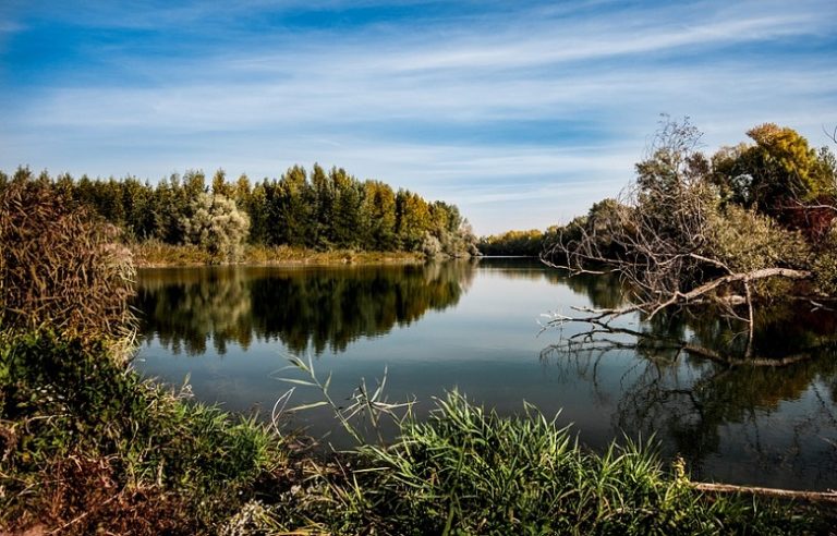 Rzeka Wda - szlak wodny - Podróżon